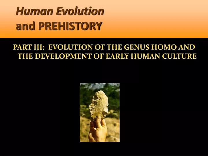 PPT - Human Evolution and PREHISTORY PowerPoint Presentation, free ...