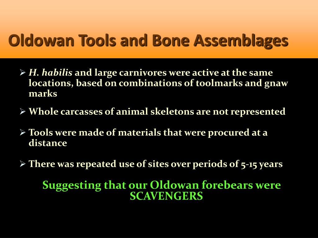 PPT - Human Evolution and PREHISTORY PowerPoint Presentation, free ...
