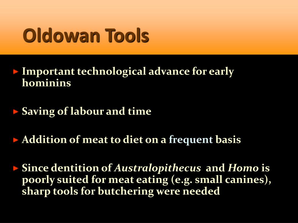 PPT - Human Evolution and PREHISTORY PowerPoint Presentation, free ...