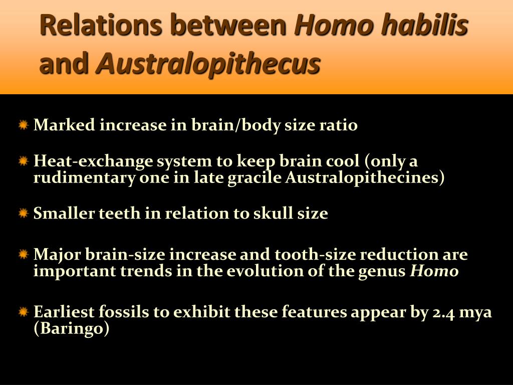 PPT - Human Evolution and PREHISTORY PowerPoint Presentation, free ...