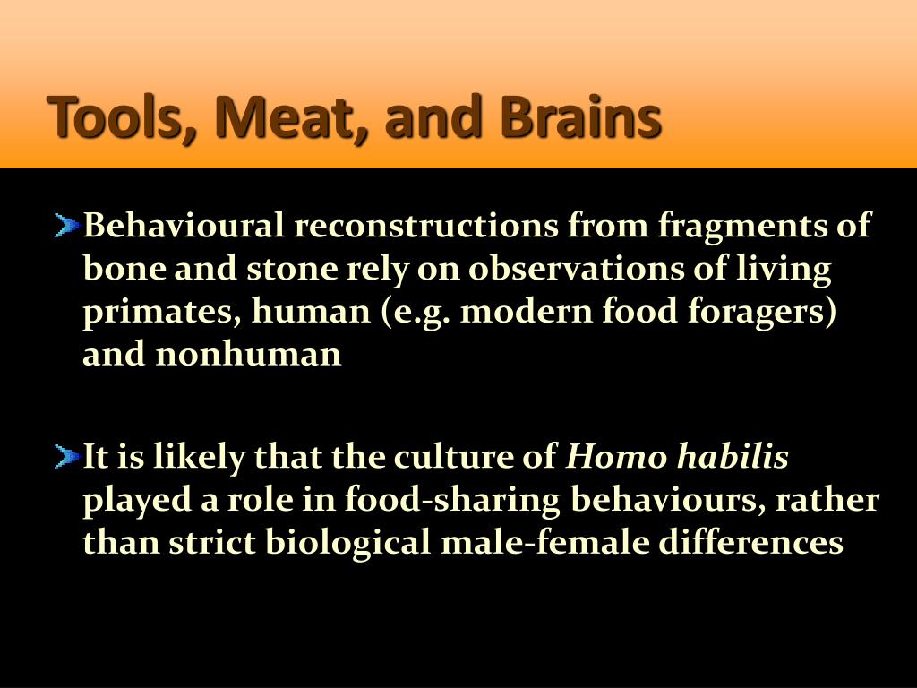 PPT - Human Evolution and PREHISTORY PowerPoint Presentation, free ...