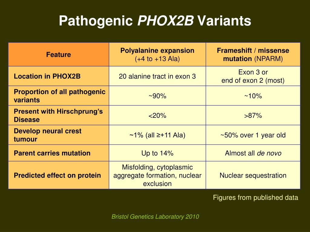 PPT - Congenital Central Hypoventilation Syndrome; a polyalanine repeat ...