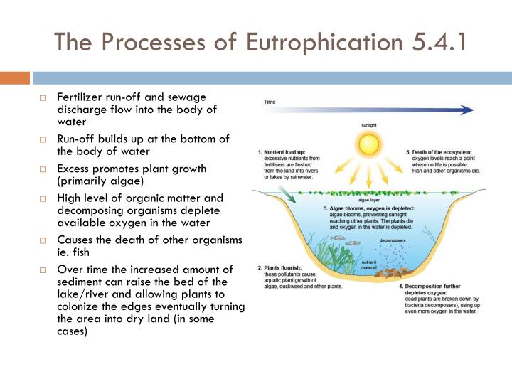 PPT - 5.4 Eutrophication PowerPoint Presentation - ID:6319498