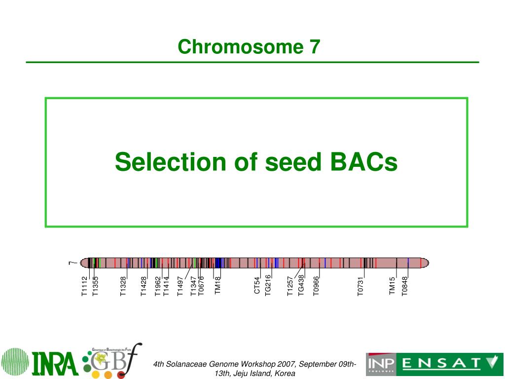 PPT - French Contributions to Tomato Genome Sequencing at the 4th ...