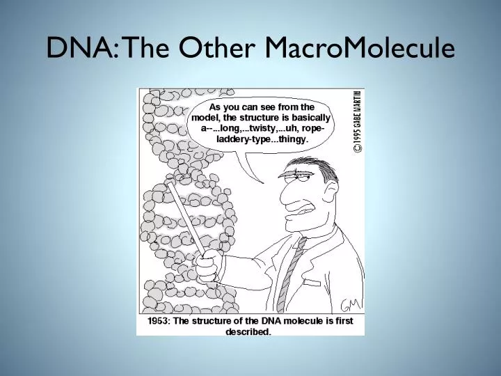 PPT - DNA: The Other MacroMolecule PowerPoint Presentation, free ...