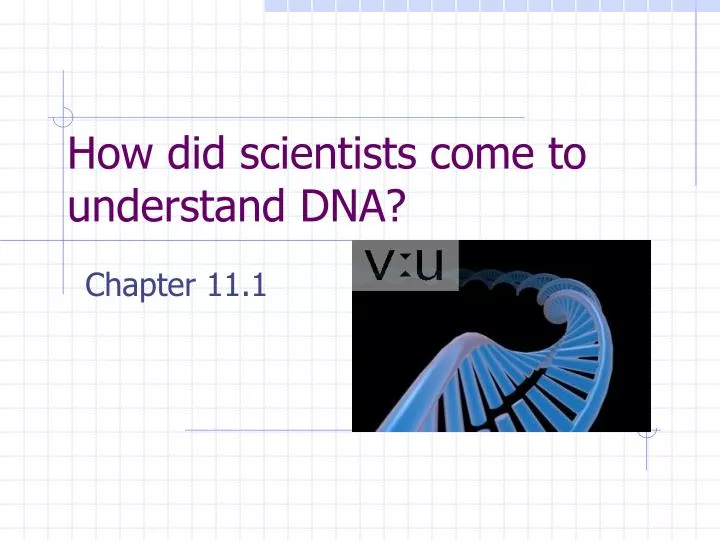 PPT - How did scientists come to understand DNA? PowerPoint ...