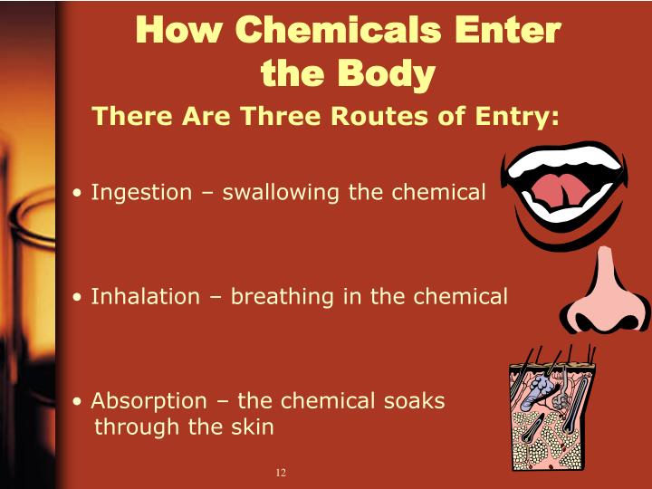 PPT - Laboratory Safety Training PowerPoint Presentation - ID:6324973