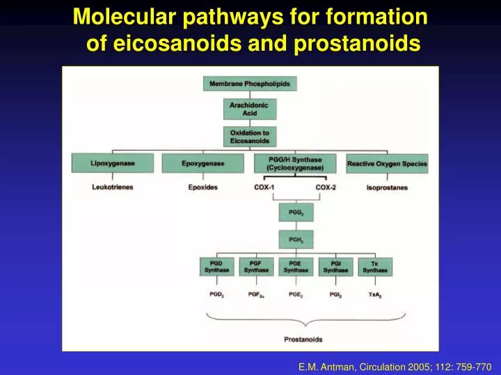 PPT - Molecular pathways for formation of eicosanoids and prostanoids ...