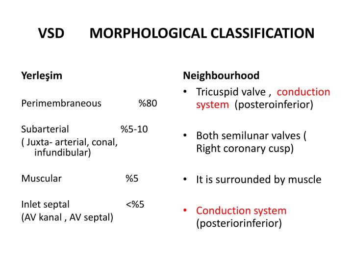 PPT - VENTRICULAR SEPTAL DEFECT (VSD) PowerPoint Presentation - ID:6330625