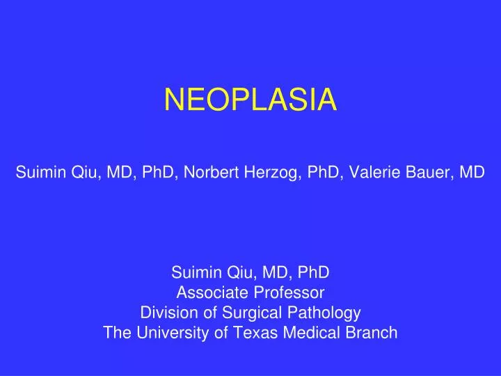 PPT - NEOPLASIA PowerPoint Presentation, free download - ID:6330688