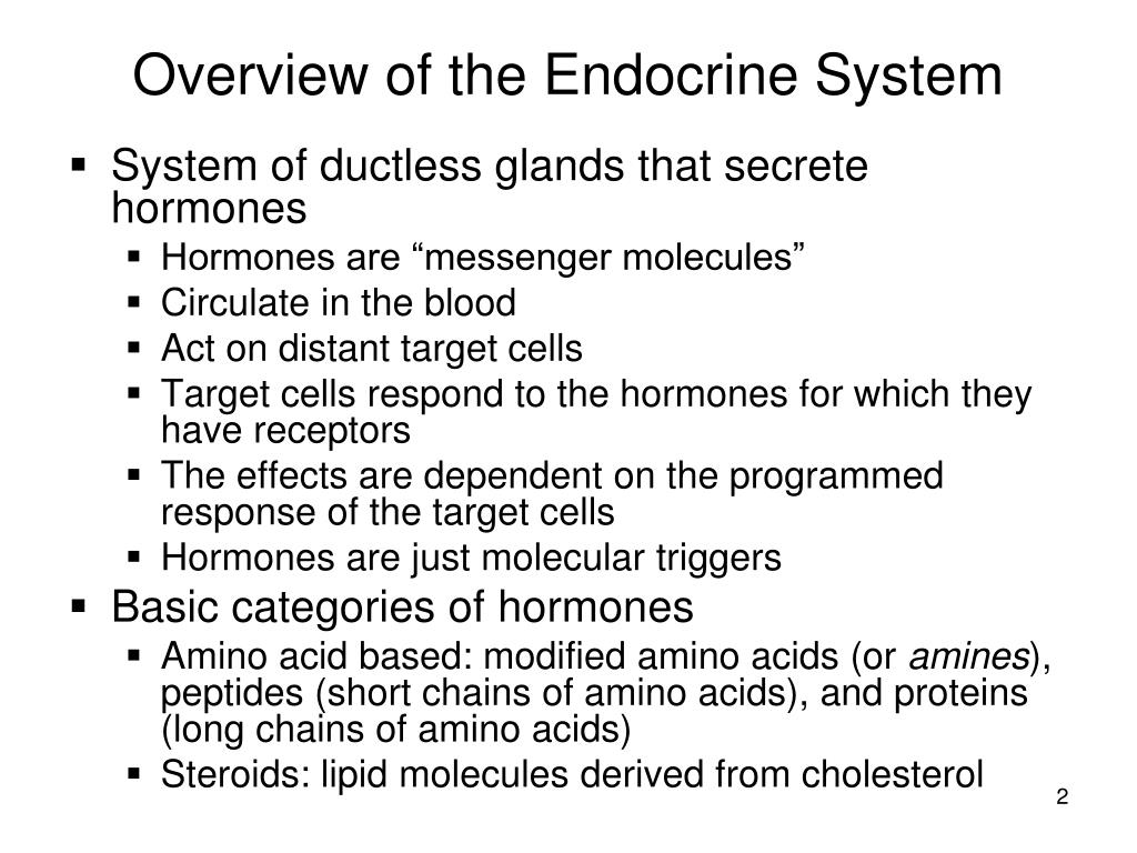 Ppt Introduction The Endocrine System Powerpoint Presentation Free