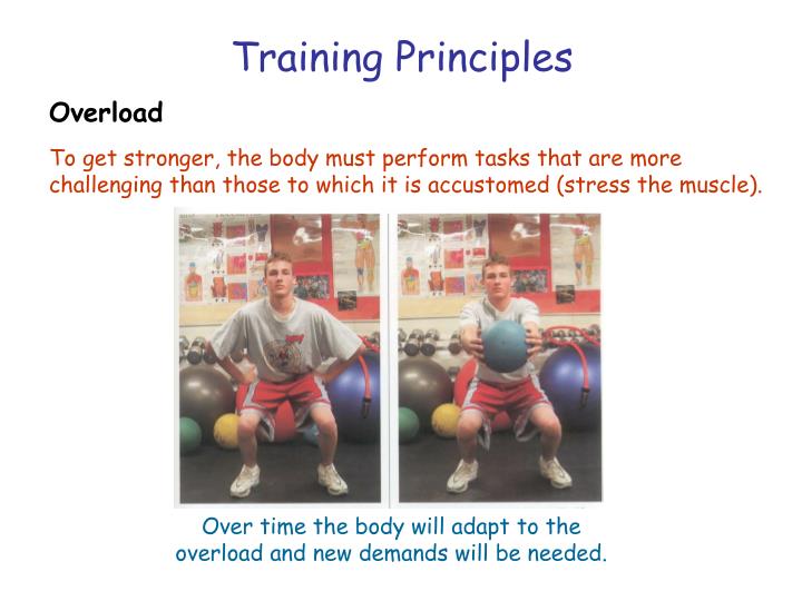 PPT - Training Principles and Methods PowerPoint Presentation - ID:6333366