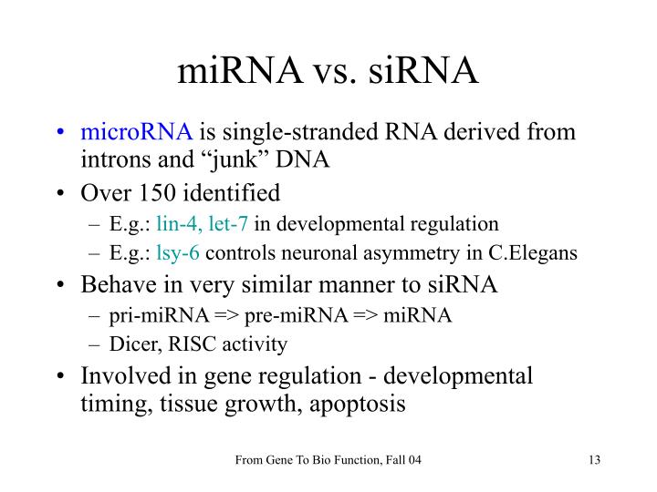 PPT - RNA Interference PowerPoint Presentation - ID:6333622