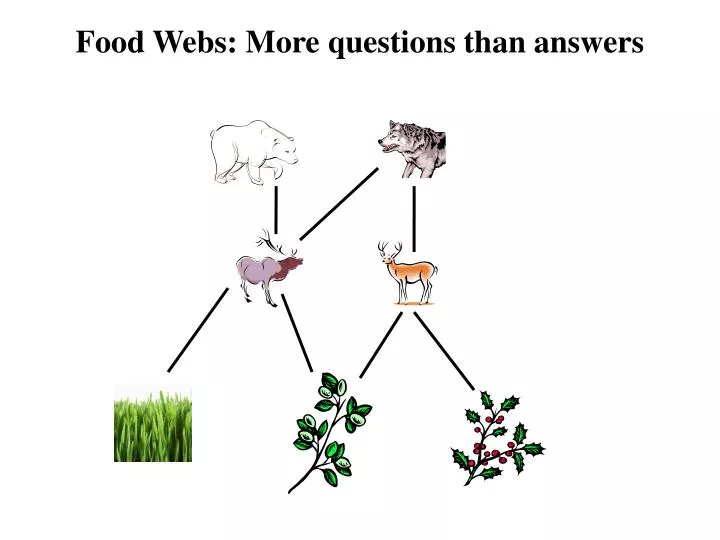 PPT - Food Webs: More questions than answers PowerPoint Presentation ...