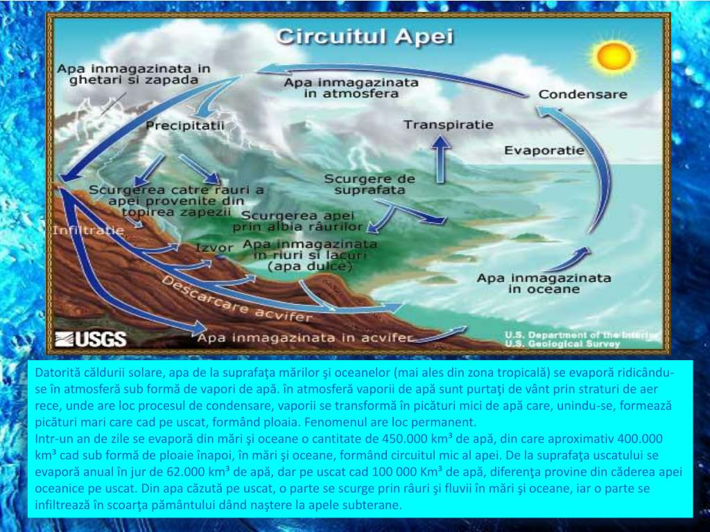 PPT - Serpuieste prin padure Clocotind in unde reci Sapa-n stanci ...