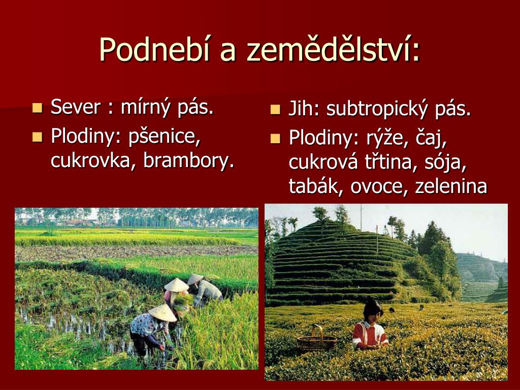 PPT - Základní škola Bohutín, okres Příbram, Bohutín 37, 262 41 ...