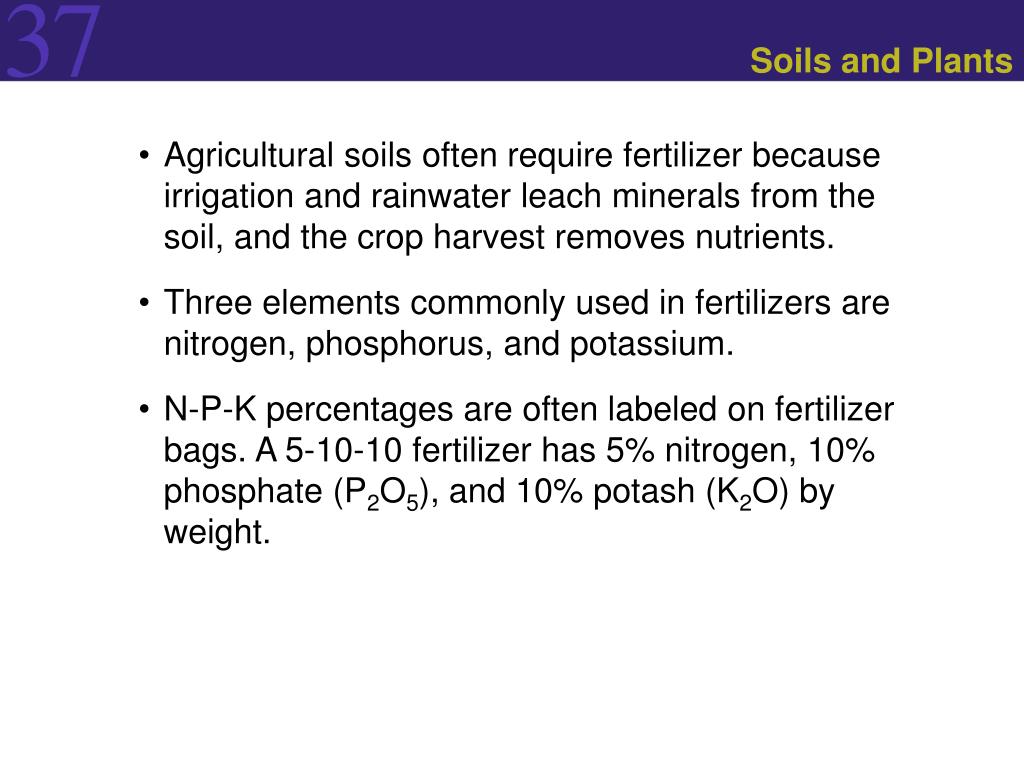 PPT - Plant Nutrition PowerPoint Presentation, free download - ID:6337079