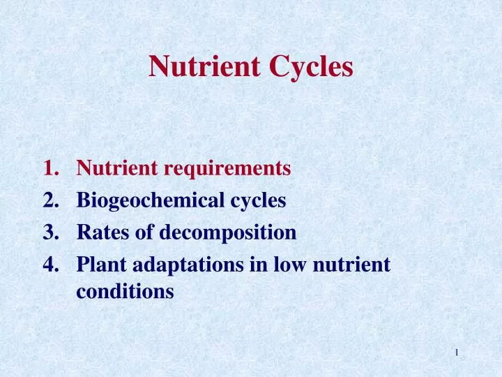 PPT - Nutrient Cycles PowerPoint Presentation, free download - ID:6337233