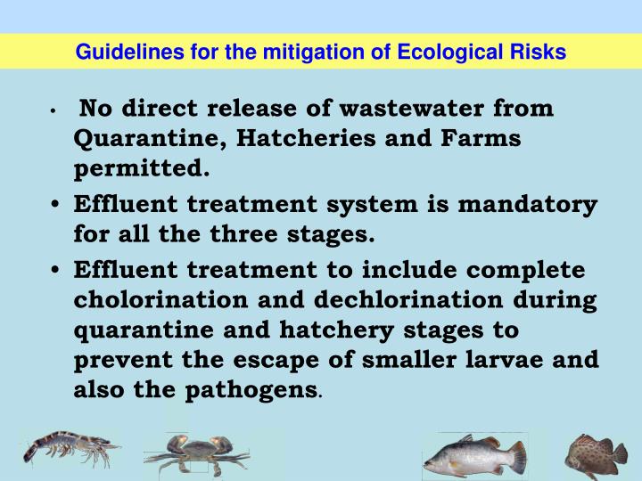 PPT - P. RAVICHANDRAN Central Institute of Brackishwater Aquaculture ...