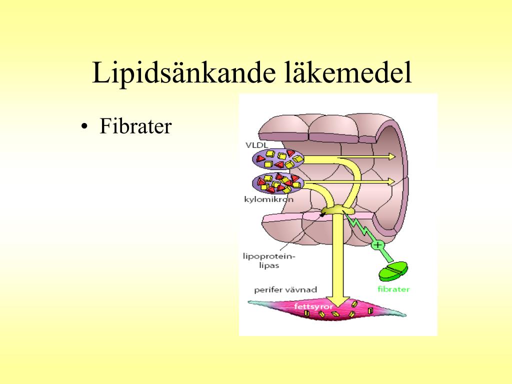 PPT - Gunnar Tobin Institutionen för fysiologi och farmakologi ...