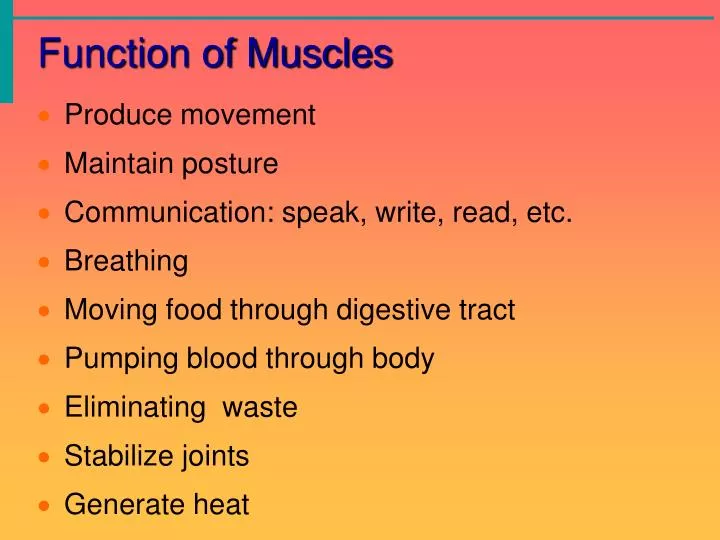 PPT - Function of Muscles PowerPoint Presentation, free download - ID ...