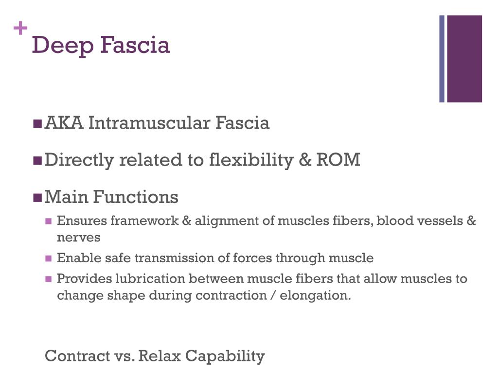PPT - Beyond Pigeon Pose:Yoga for the Hip-Flexed Athlete PowerPoint ...