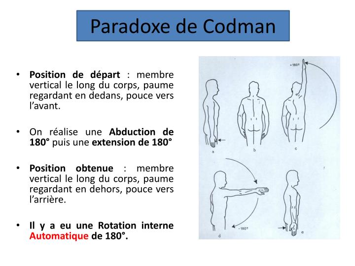PPT - ANATOMIE FONCTIONNELLE ET BIOMÉCANIQUE DE L’EPAULE PowerPoint ...