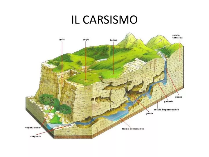 PPT - IL CARSISMO PowerPoint Presentation - ID:6340842
