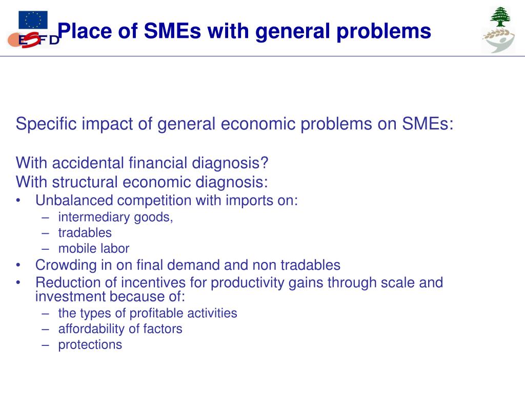 PPT - Enabling environment for SME’s in Lebanon Role of Fiscal Policy ...