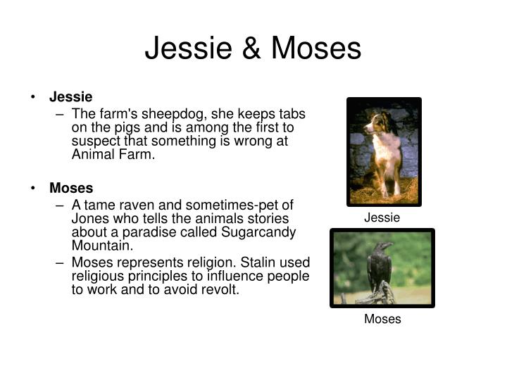 PPT - Animal Farm PowerPoint Presentation - ID:6343472