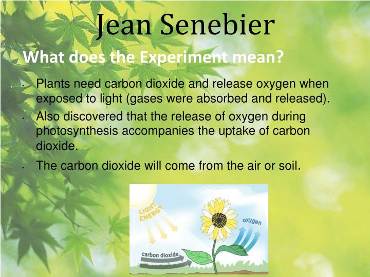 PPT - Jean Senebier & Theodore de Saussure PowerPoint Presentation - ID ...