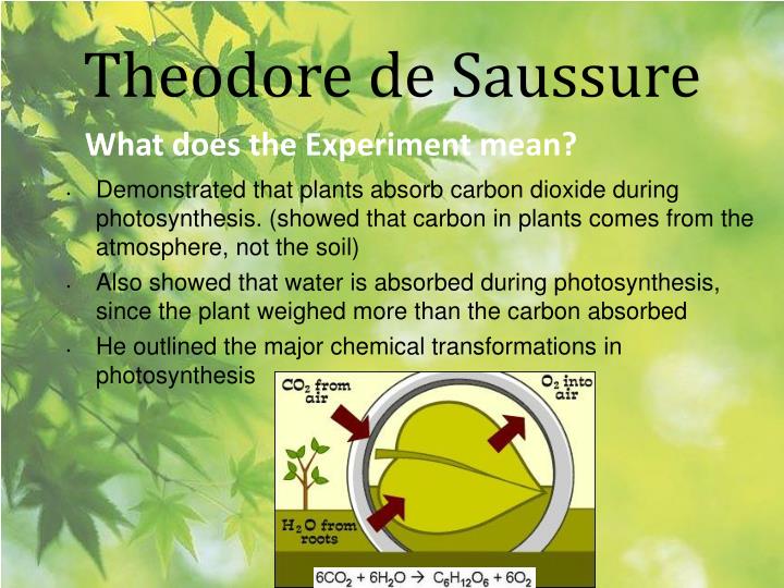 PPT - Jean Senebier & Theodore de Saussure PowerPoint Presentation - ID ...