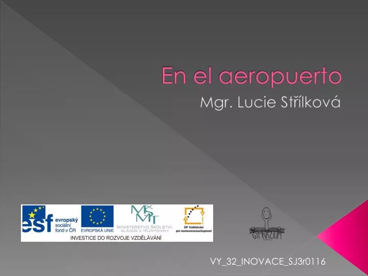 PPT - En el aeropuerto PowerPoint Presentation, free download - ID:6343861
