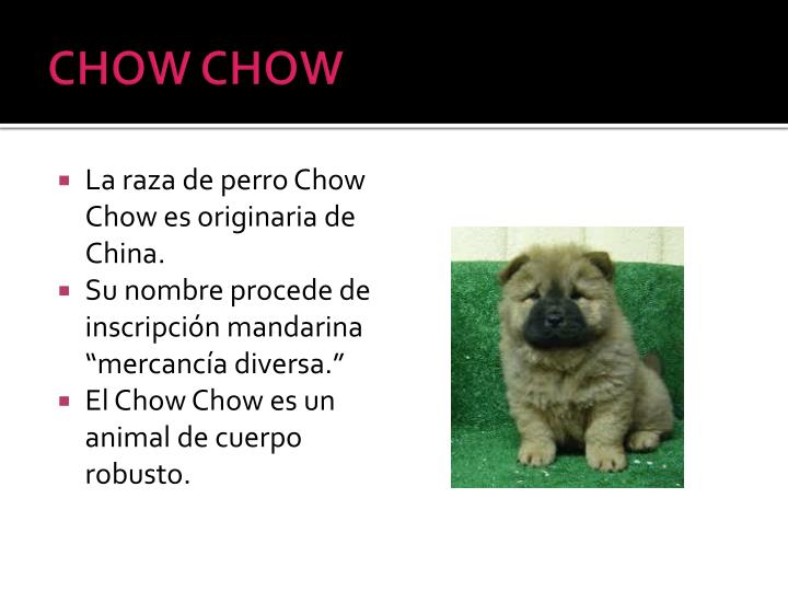 PPT - RAZAS DE PERROS PowerPoint Presentation - ID:6344063