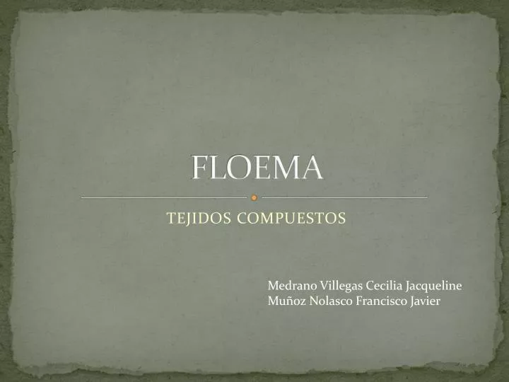 PPT - FLOEMA PowerPoint Presentation, free download - ID:6344611