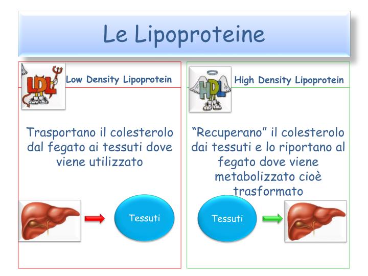 PPT - Il Colesterolo PowerPoint Presentation - ID:6347273
