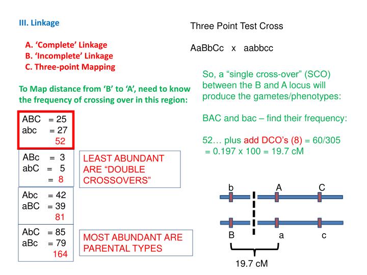 PPT - III. Linkage A. ‘Complete’ Linkage B. ‘Incomplete’ Linkage ...