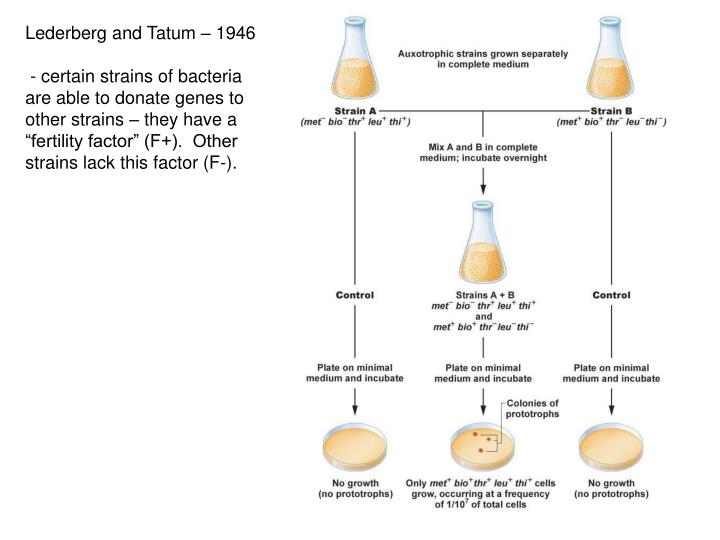 PPT - III. Linkage A. ‘Complete’ Linkage B. ‘Incomplete’ Linkage ...
