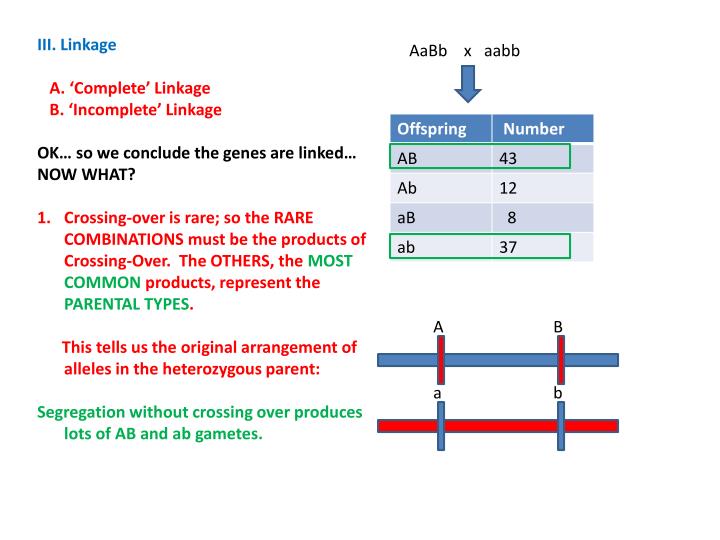 PPT - III. Linkage A. ‘Complete’ Linkage B. ‘Incomplete’ Linkage ...