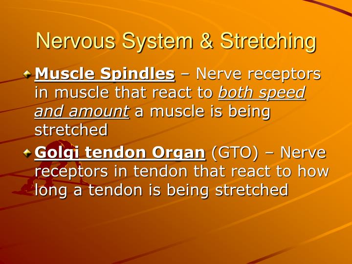 PPT - Muscular Strength Review PowerPoint Presentation - ID:6350584