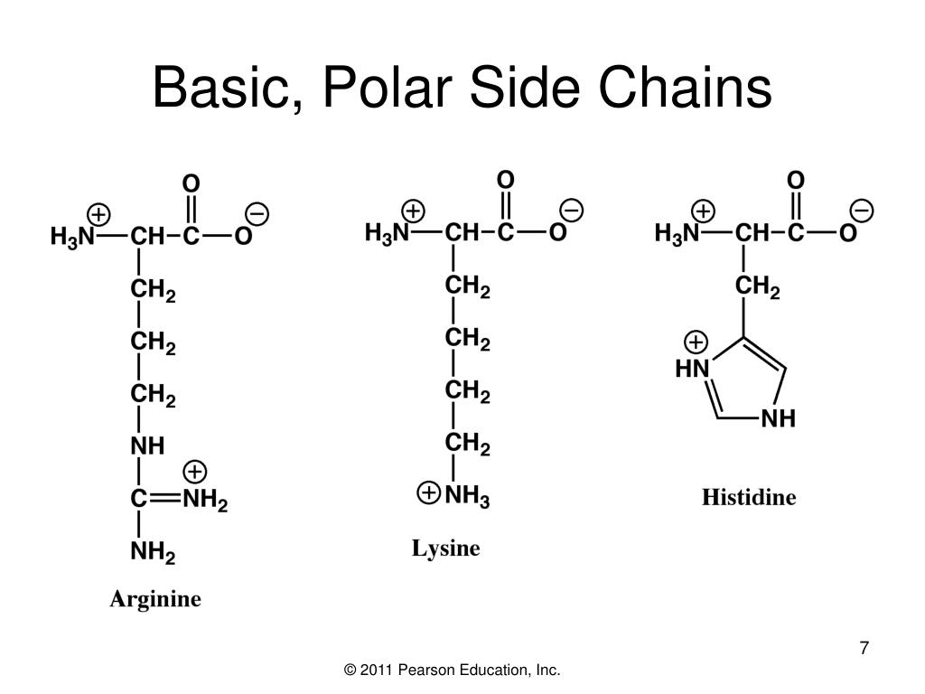 PPT - Organic Chemistry 6 th Edition Paula Yurkanis Bruice PowerPoint ...