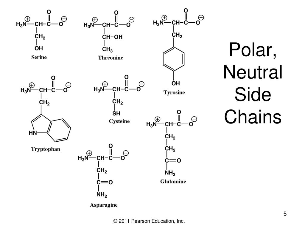 PPT - Organic Chemistry 6 th Edition Paula Yurkanis Bruice PowerPoint ...