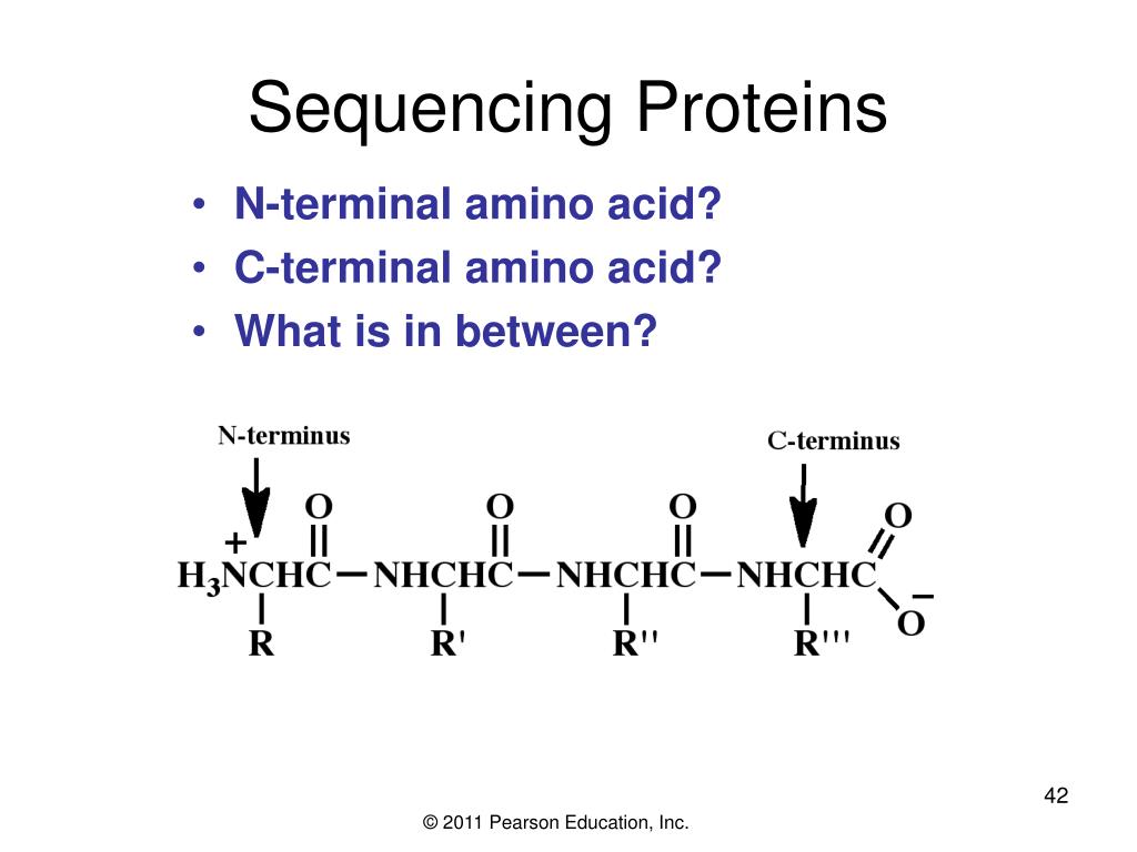 PPT - Organic Chemistry 6 th Edition Paula Yurkanis Bruice PowerPoint ...