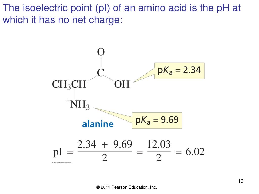 PPT - Organic Chemistry 6 th Edition Paula Yurkanis Bruice PowerPoint ...