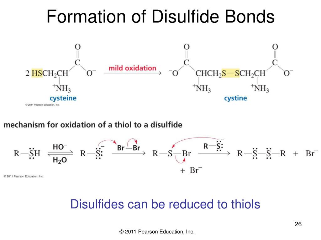 PPT - Organic Chemistry 6 th Edition Paula Yurkanis Bruice PowerPoint ...
