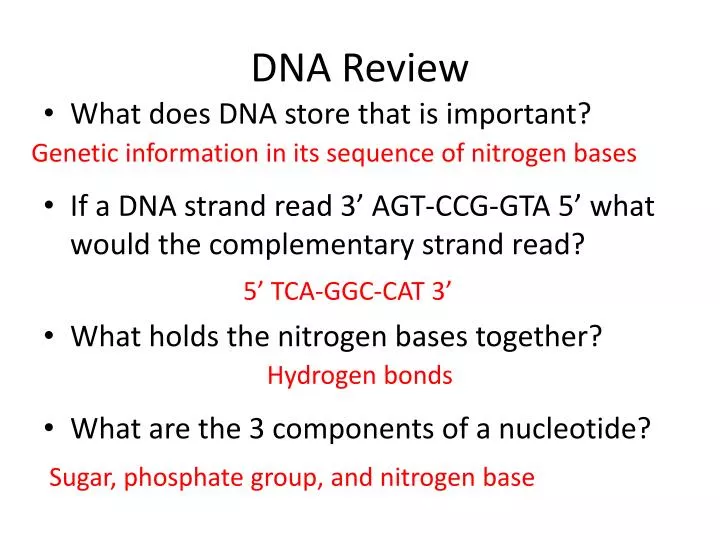 PPT - DNA Review PowerPoint Presentation, free download - ID:6351851