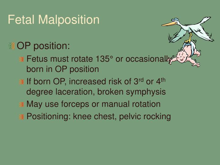 PPT - Complication o Labor PowerPoint Presentation - ID:6355410