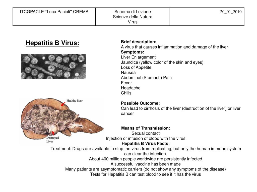 PPT - ITCGPACLE “ Luca Pacioli ” CREMA Progetto “Eppur si muove ...