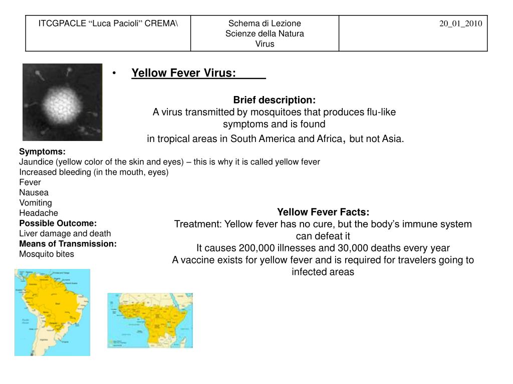PPT - ITCGPACLE “ Luca Pacioli ” CREMA Progetto “Eppur si muove ...