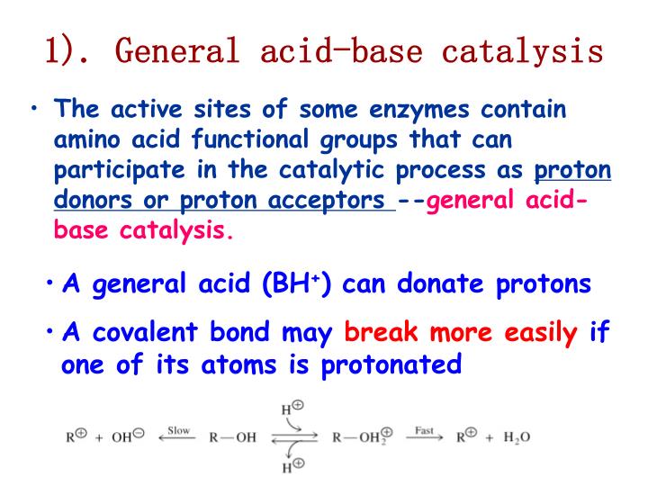 PPT - Lecture 8 Enzyme PowerPoint Presentation - ID:6356615